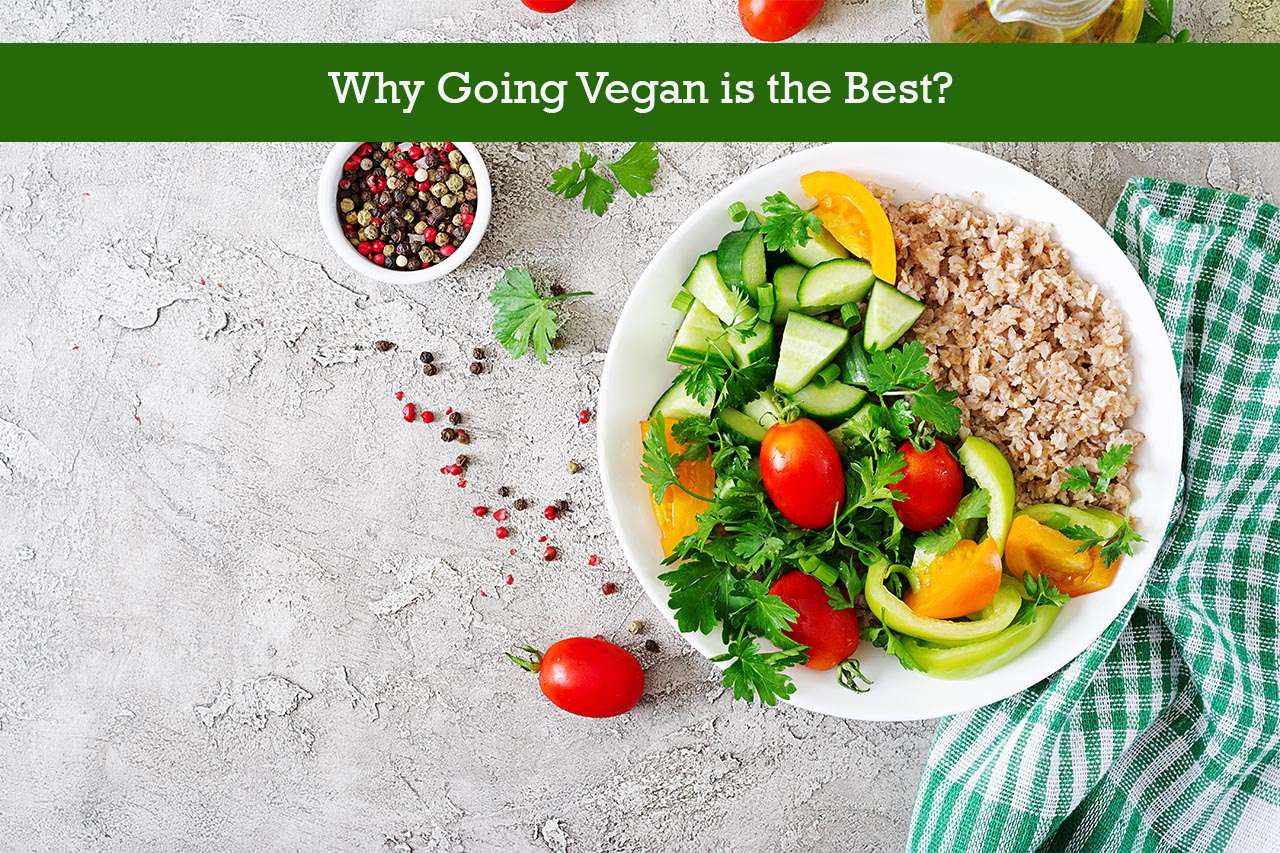 Why Going Vegan is the Best?
